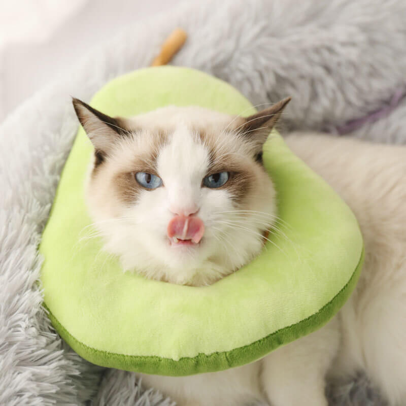 Protective Pet Collar Soft Elizabethan Collar Avocado Recovery Collar ...
