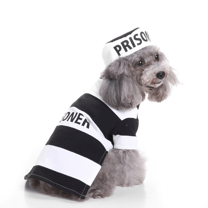 Prisoner Dog Costume for Halloween Dog and Cat︱Aipaws – aipaws